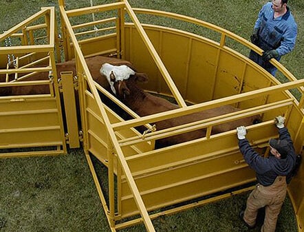 Preferred Grain Systems | Cato, NY | Livestock & Crop Handling Systems ...